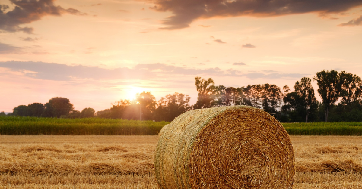 CGT Announces Next Gen Hemp Bale Processor for HempTrain™