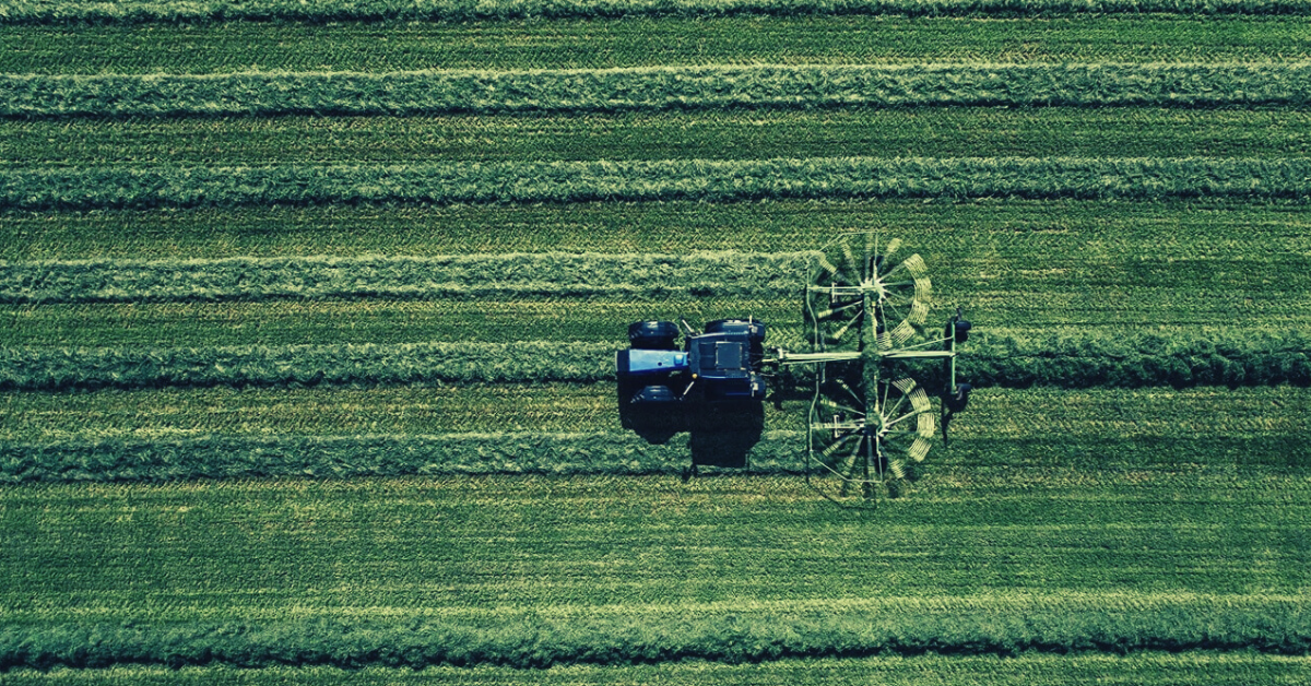 5 Hemp Farming Problems You Need to Know